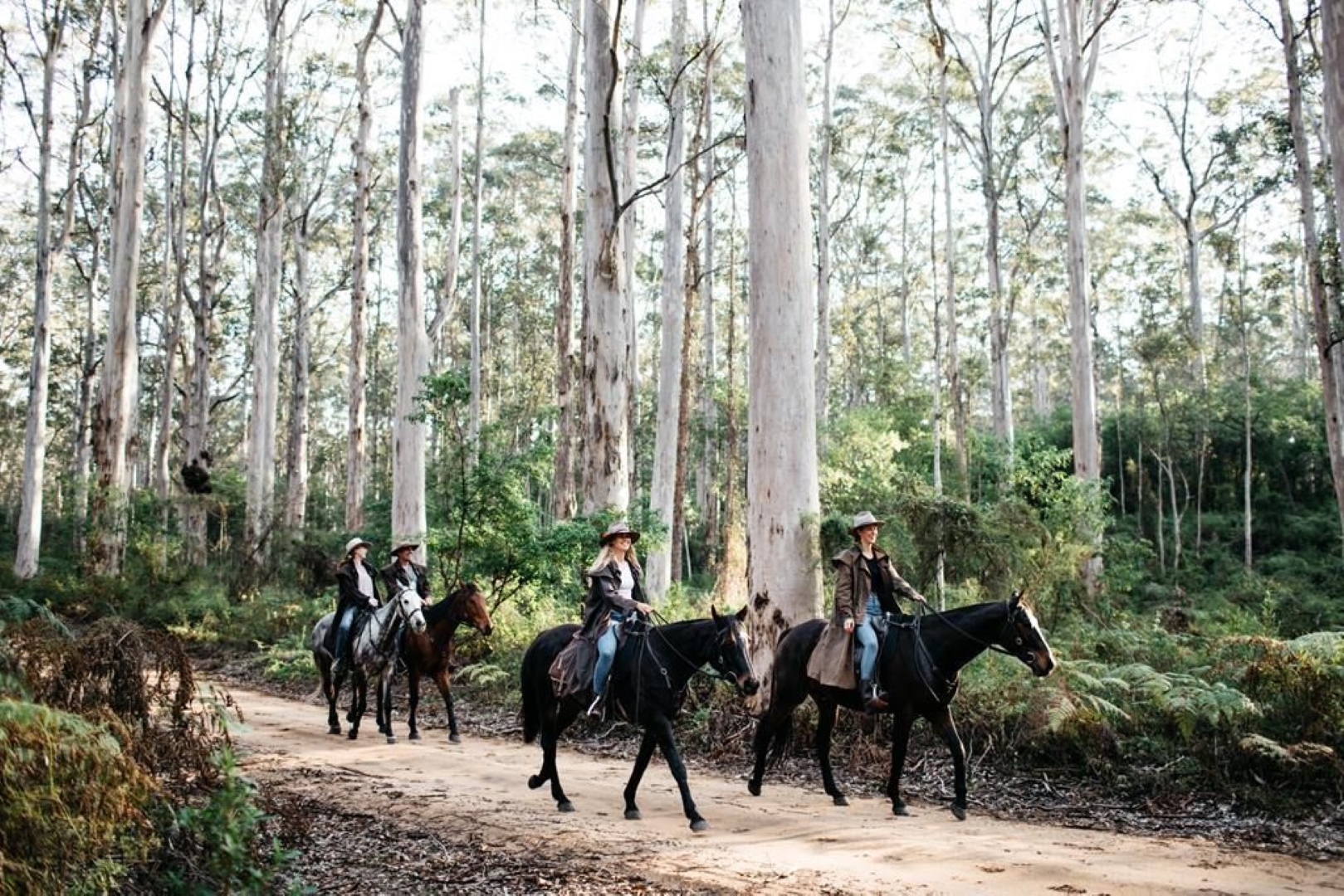 Incredible Horse Riding Experiences in the Margaret River Region