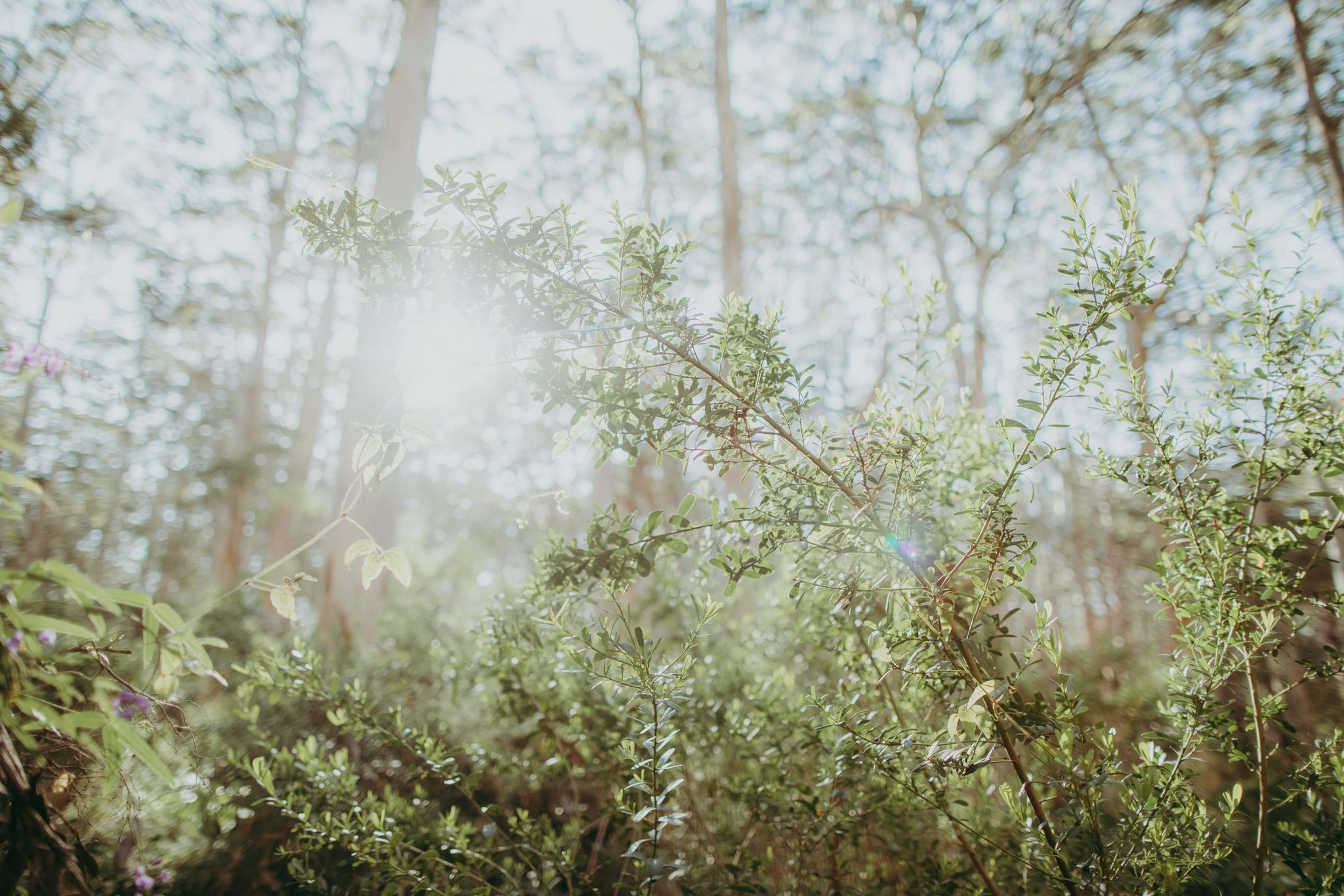 Sharnae Watson - The Margaret River Region