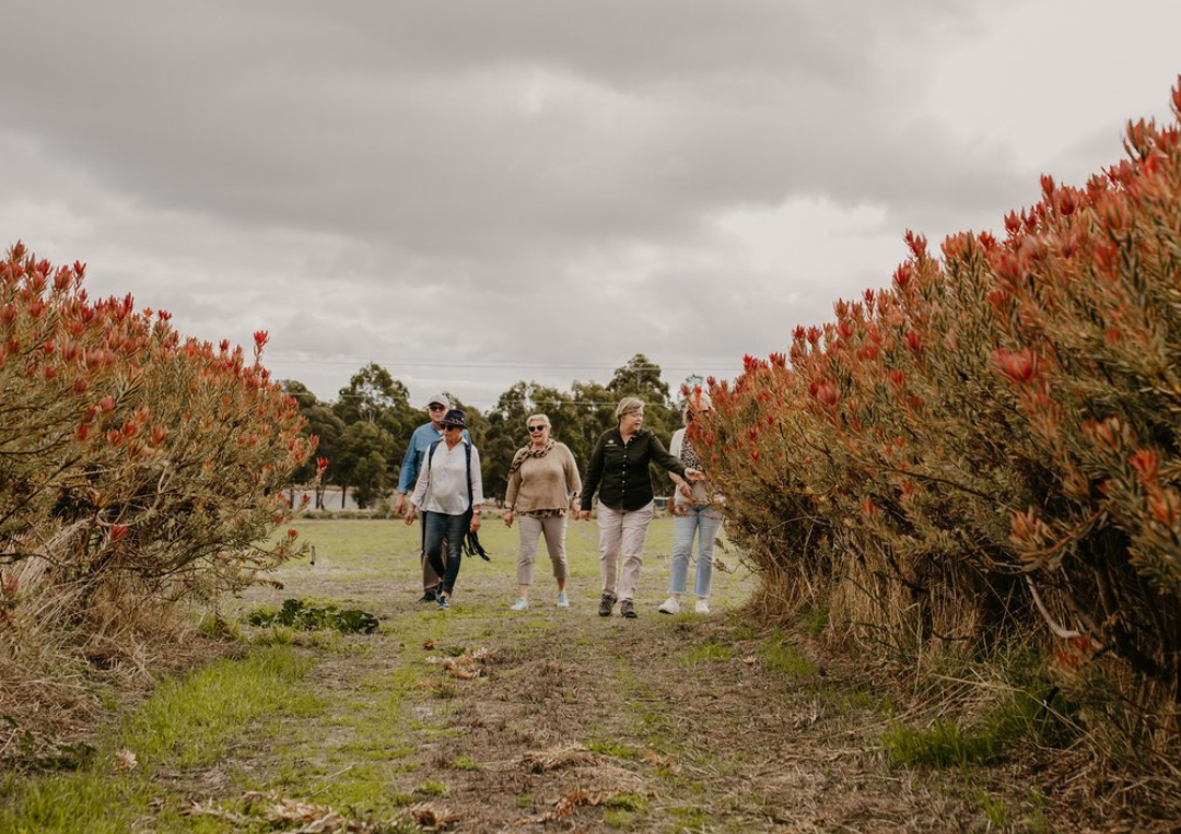 Your guide to farm foraging | The Margaret River Region