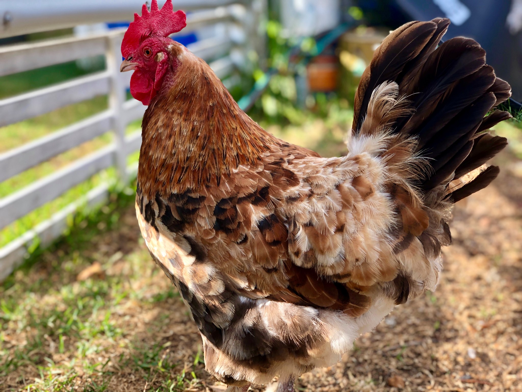 Wild Games | The Margaret River Region