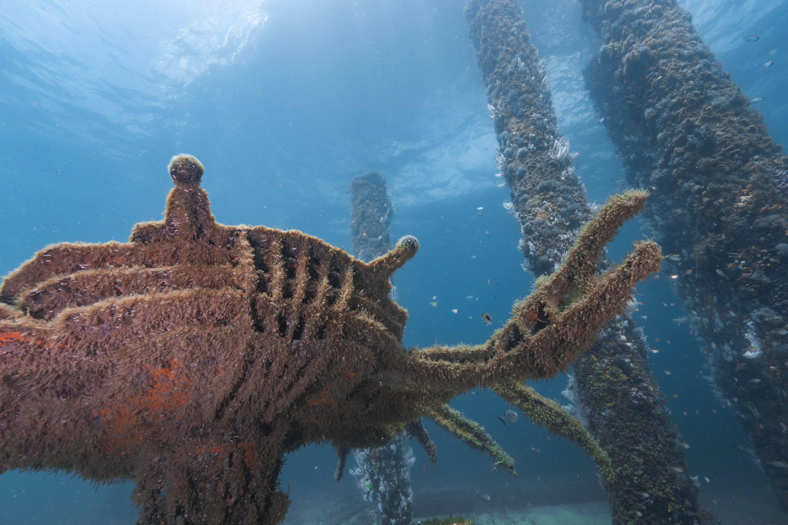 Busselton Jetty's Underwater Sculpture Park: embracing art and ...