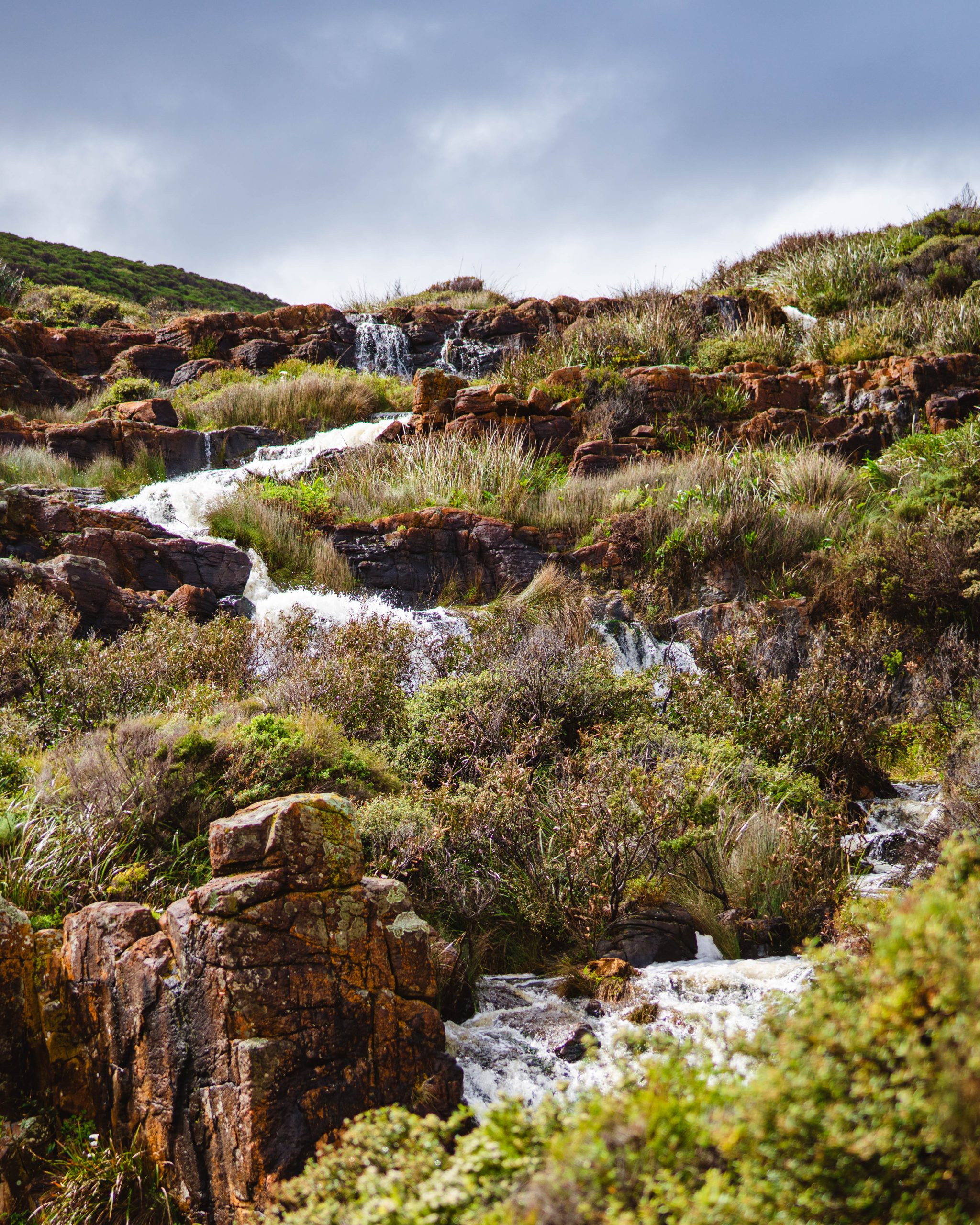 The mystery of Leeuwin-Naturaliste National Park | The Margaret River ...