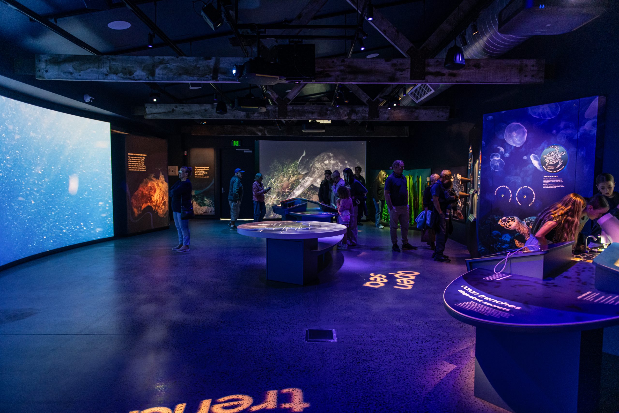 Dive into Busselton Jetty and its new Marine Discovery Centre | The ...